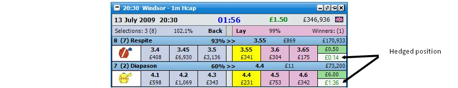 Grid Interface showing current position and hedged position