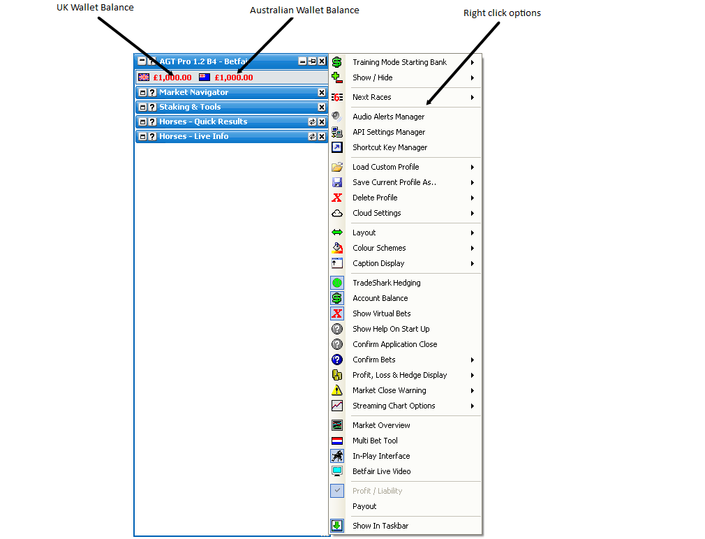 Main Info Bar with right click options when no market is loaded