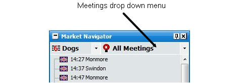 Market Navigator window floating, with Dogs selected in the Quick Pick ...