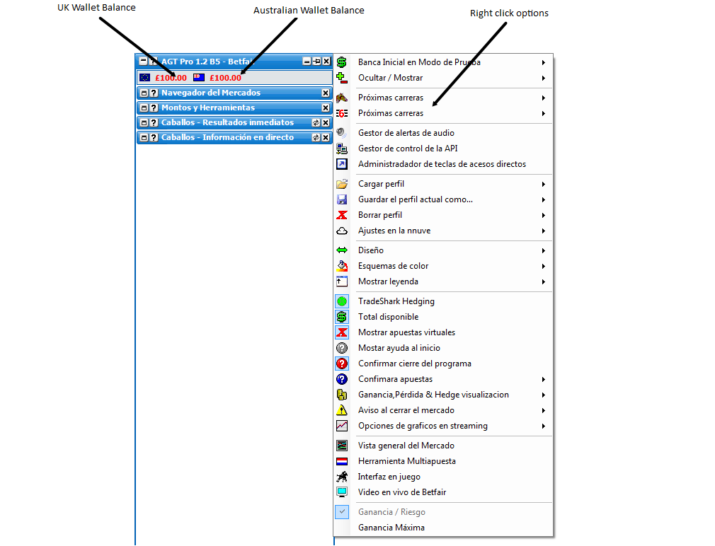 Barra de Informacion Principal with right click options when no market ...