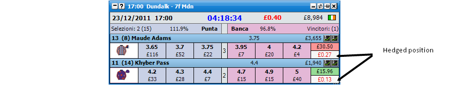 Grid Interface showing current position and hedged position